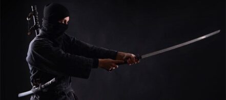 Katana Sword | Hand-Forged | KatanaEmpire.co.uk